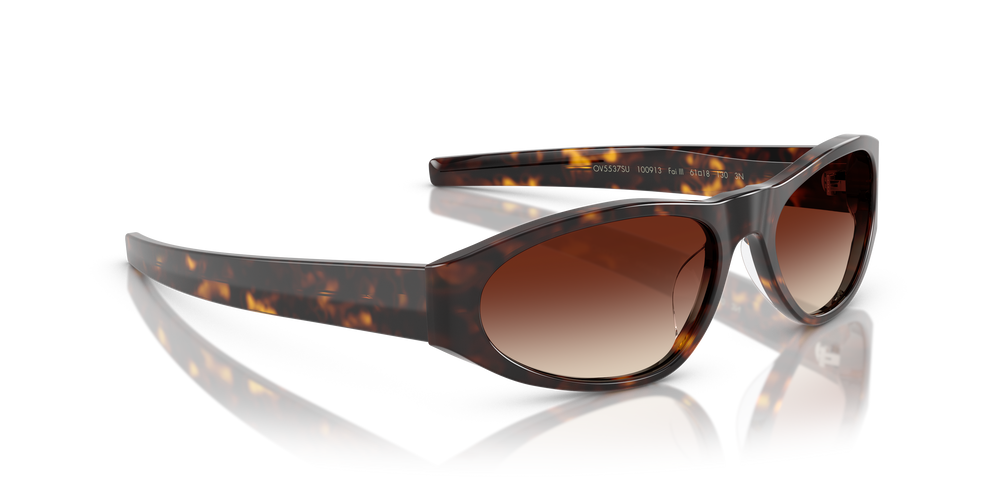 Oliver Peoples Fai III with 362 frame and Spice Brown Gradient lenses ...