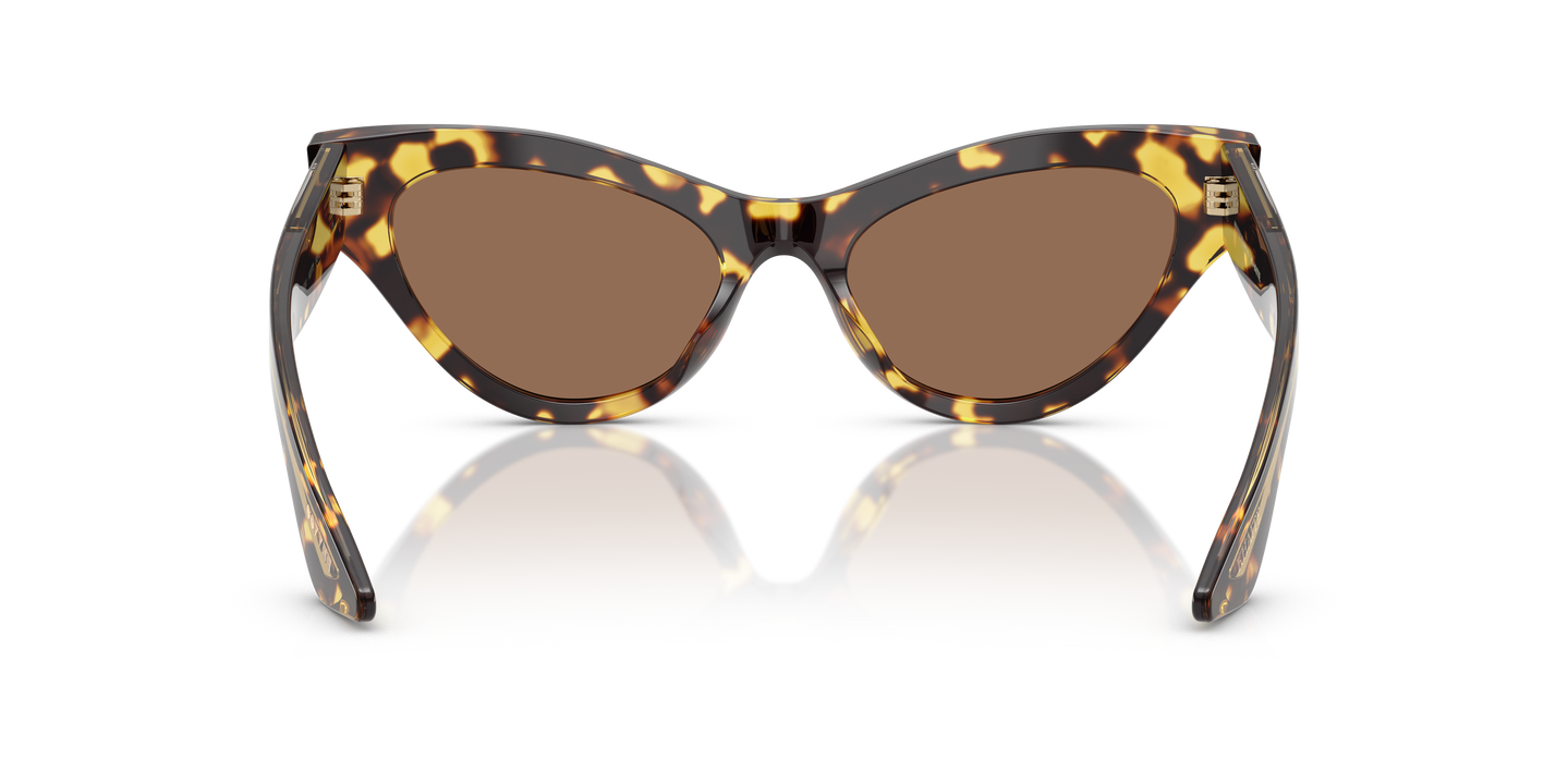 Oliver Peoples 1951C with Vintage Dtb frame and Brown lenses | Oliver ...