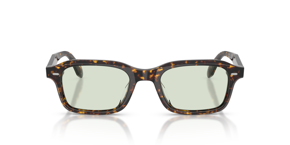 Oliver Peoples N.08 Sun with Atago Tortoise frame and Fern Wash To Dark ...